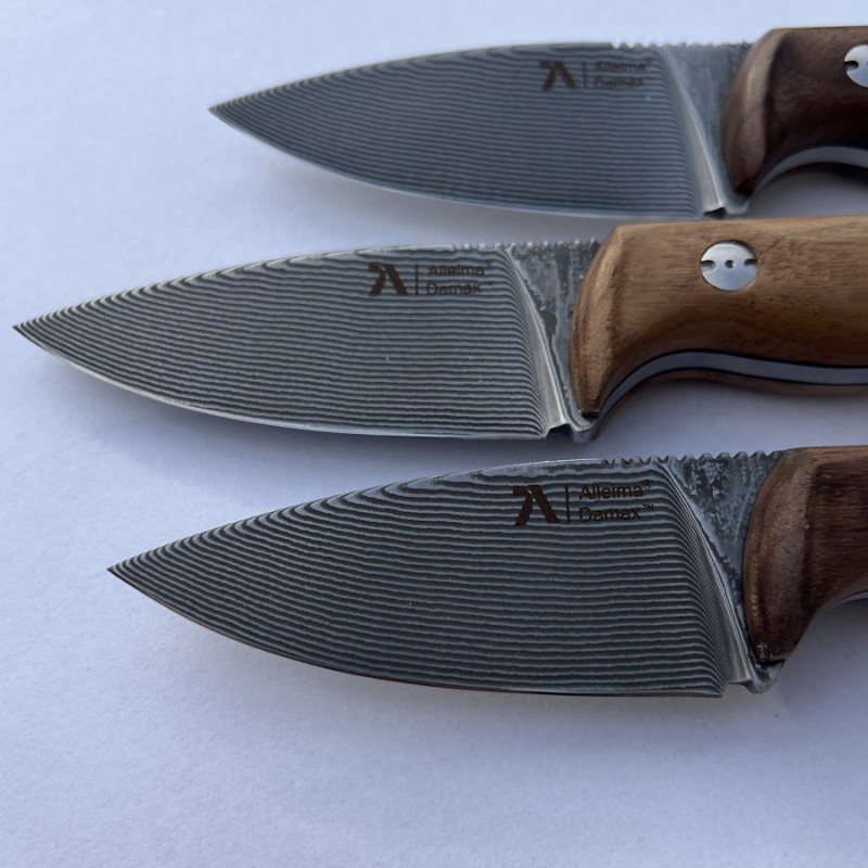 Alleima Damax Damascus (inox)