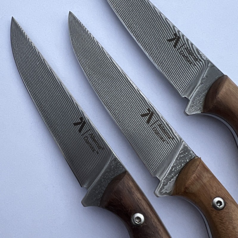 Alleima Damax Damascus (inox)